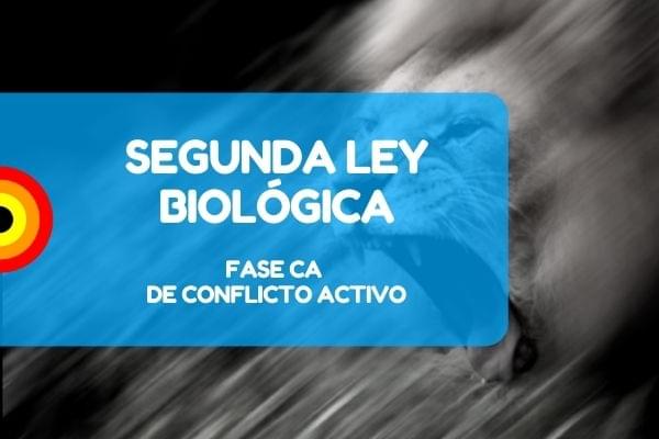 Libro de estudio de la Nueva Medicina Germánica – NMGando